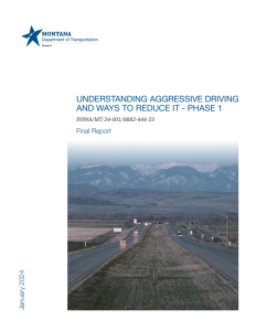 Understanding Aggressive Driving And Ways to Reduce It – Phase 1 ...